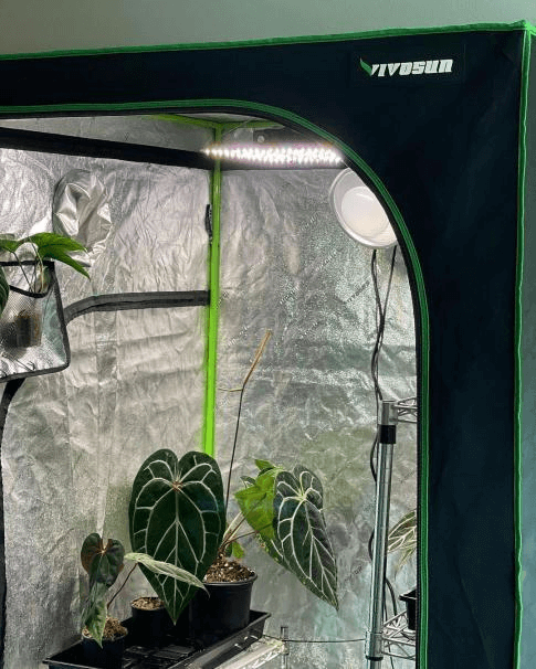 Tips for Hanging Grow Lights for Indoor Plants - GROWING GUIDE