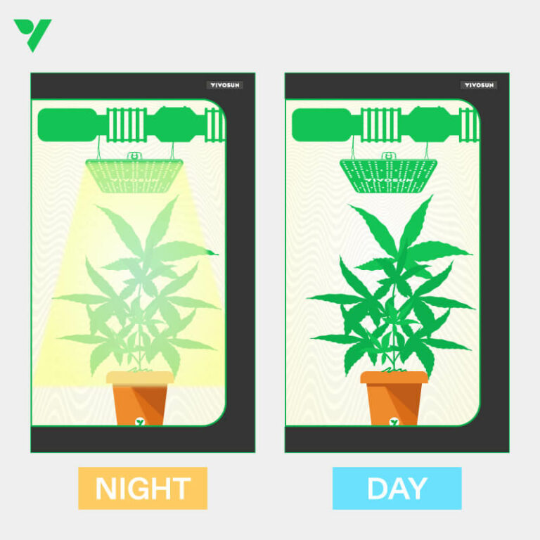 How to Control Temperature in Grow Tent