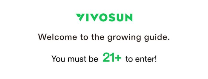 Thin Mints Strain: Everything You Need to Know - Vivosun