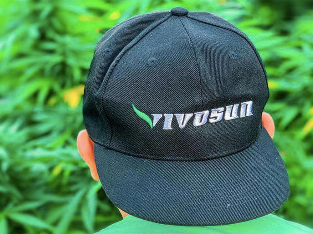 How to clone plants? Step by step Growing Guide