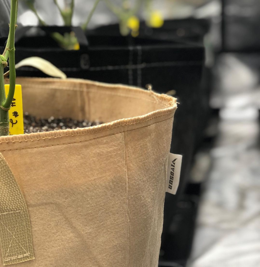 How to Choose Fabric Grow Bags for Gardening? | VIVOSUN