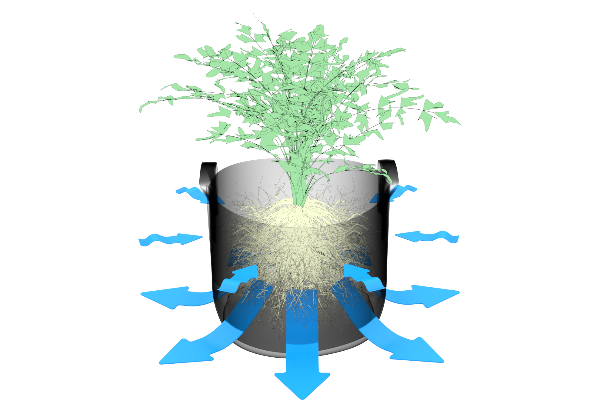 All about Air Pruning: What, Why, and How - Vivosun