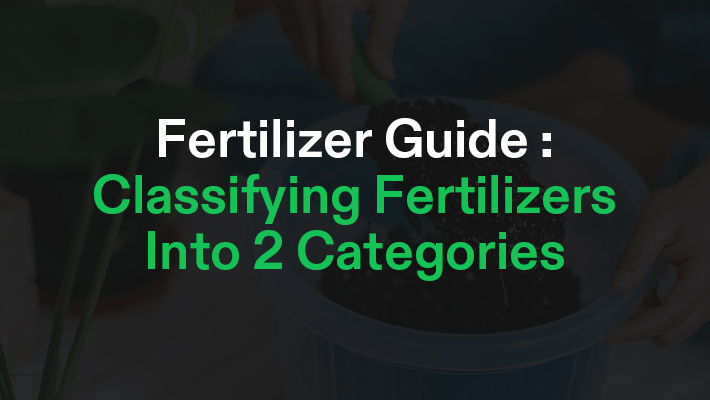 Classifying Fertilizers Into 2 Categories | VIVOSUN