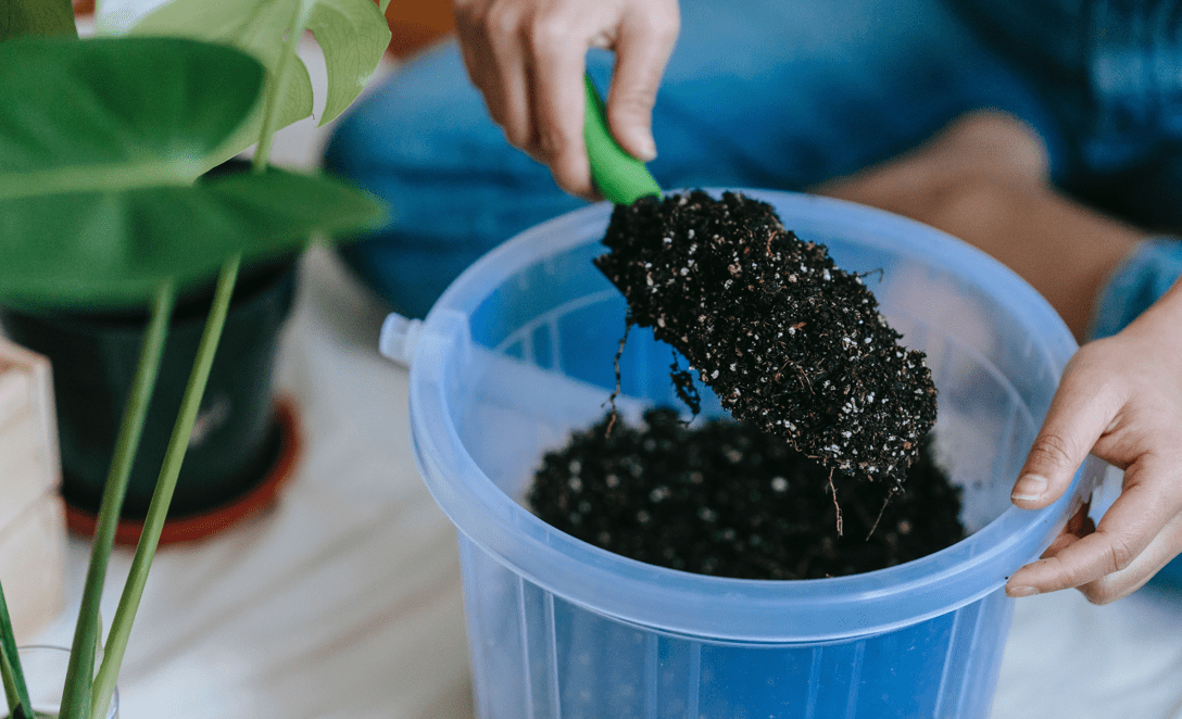 Classifying Fertilizers Into 2 Categories | VIVOSUN