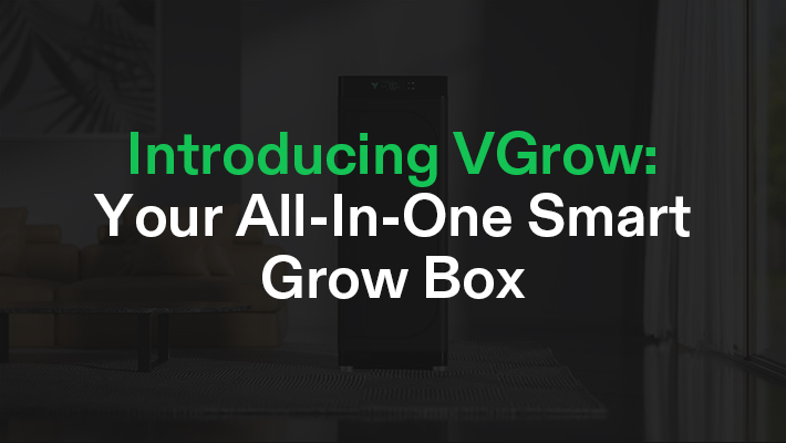Best All-In-One Smart Grow Box | VGROW VIVOSUN