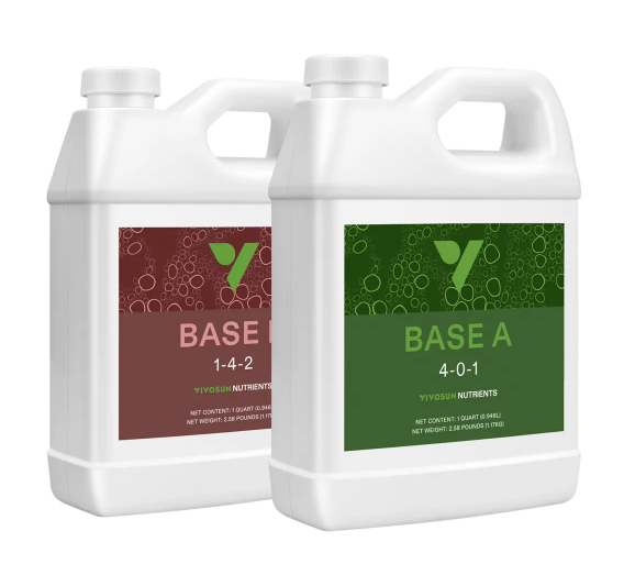 Hydroponics at Home: A Helpful Beginner's Guide