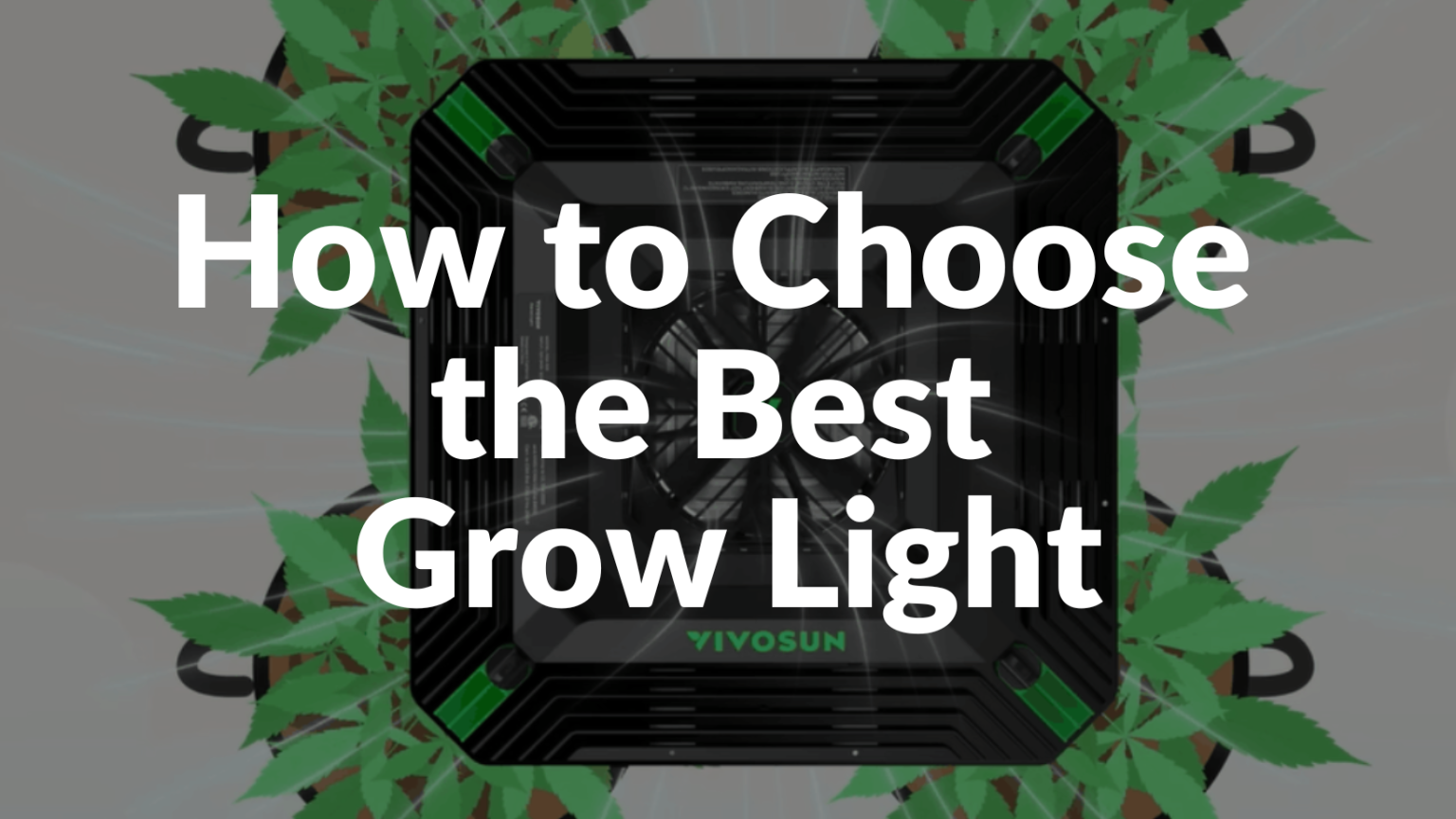 VIVOSUN Growing Guide - GROWING GUIDE