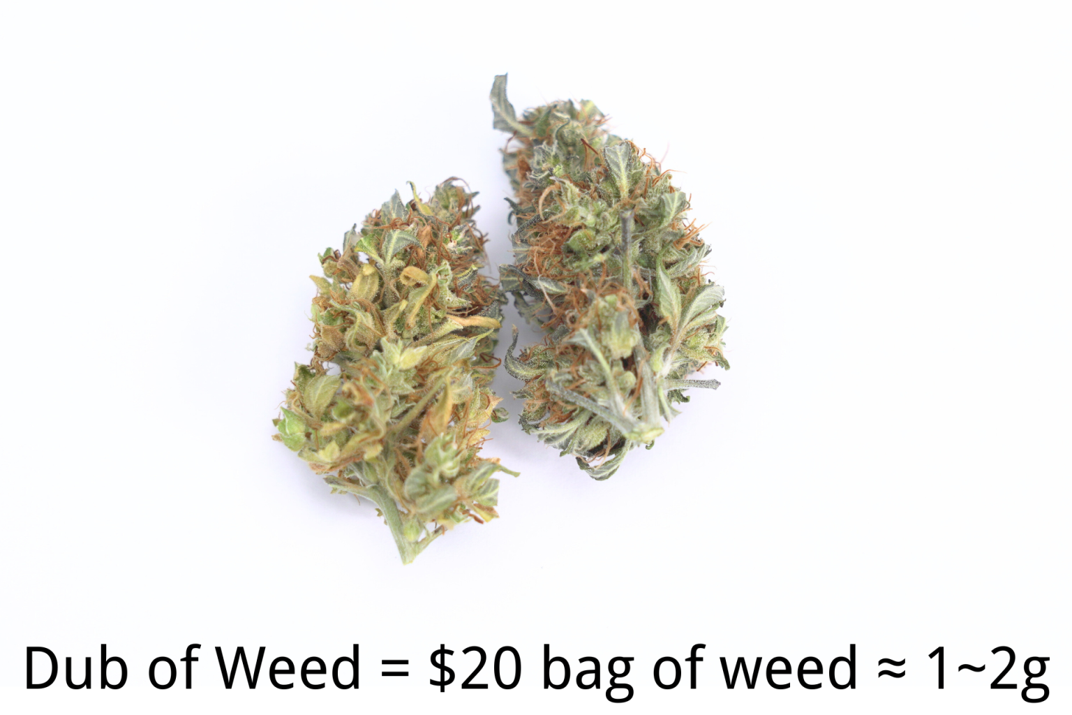 How Many Grams in an Eighth of Weed? (5 Common Slang Term Conversions Explained)