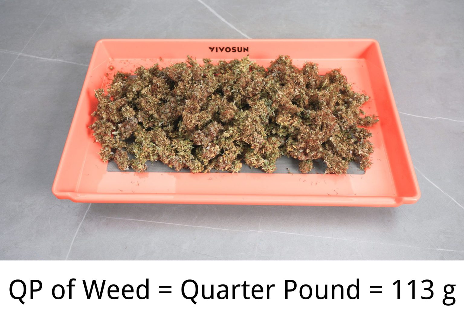 How Much is a QP: Understanding the Cost and Measurement of Weed - Vivosun