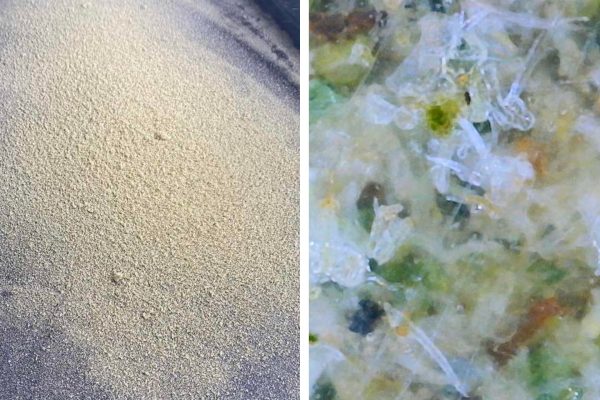 The Ultimate Guide to Kief: What It Is and How to Use It - Vivosun