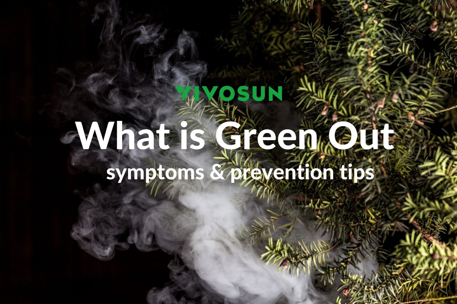 What Happens When You Green Out? 4 Ways to Prevent It - Vivosun