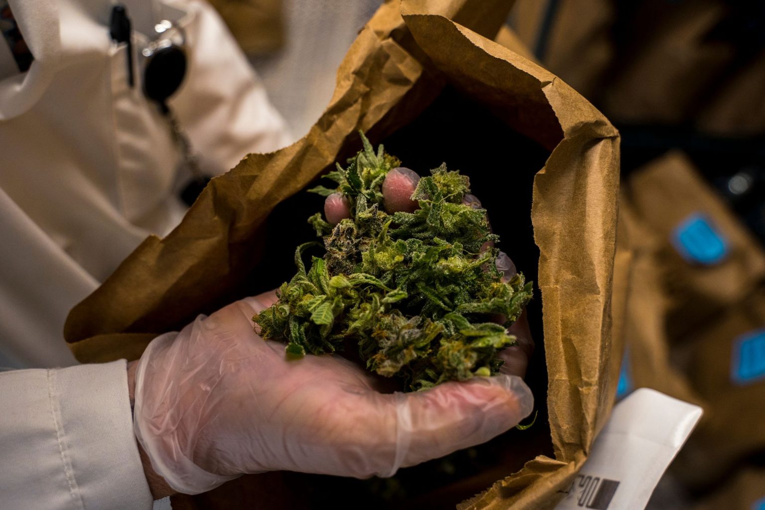 How Long Does Weed Last? 12 Essential Tips to Keep Your Cannabis Fresh ...