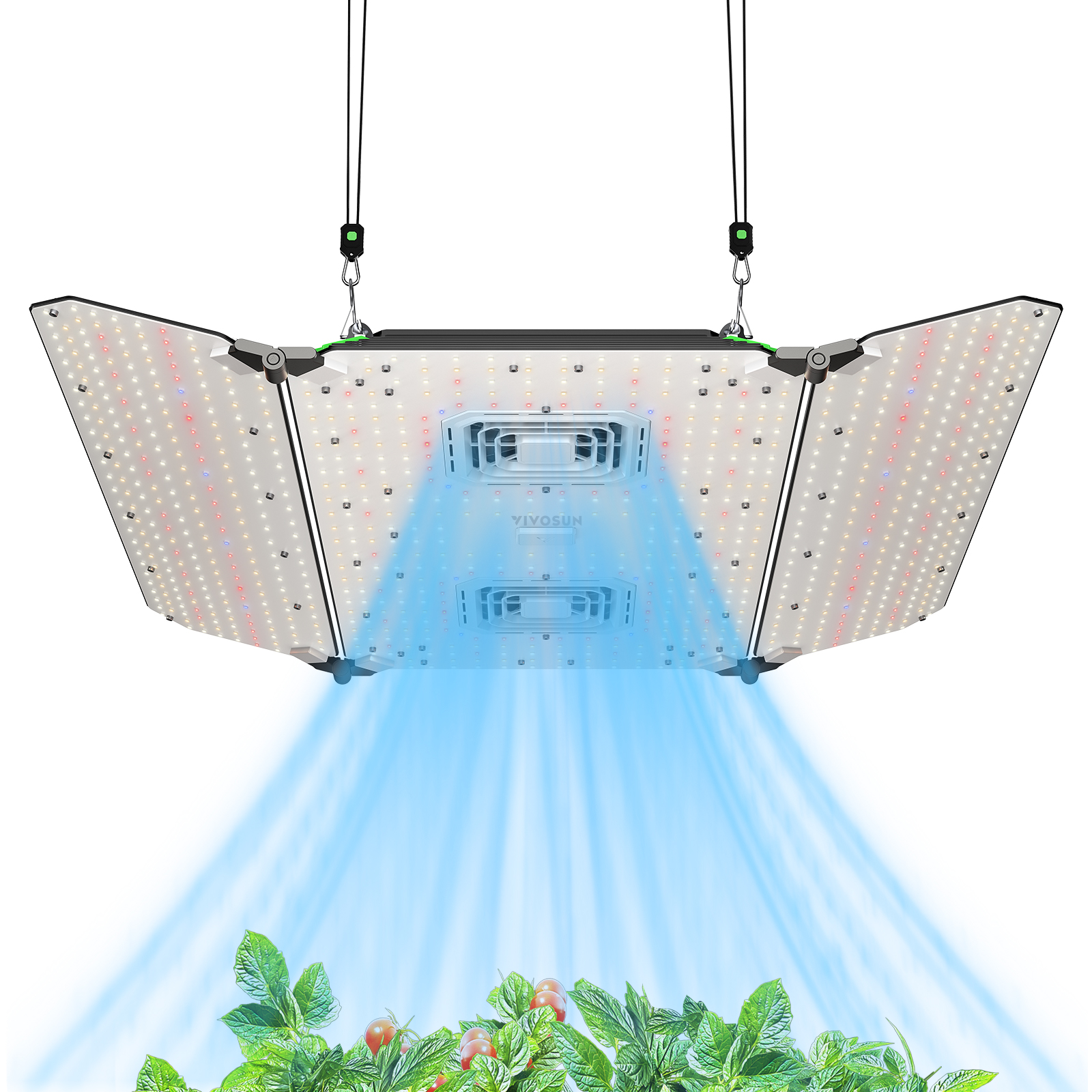 Introducing AeroLight Wing 400W LED Grow Light: The Ultimate Solution ...