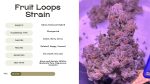 Fruit Loops Strain: Everything You Need to Know - Vivosun