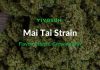 Animal Face Strain: A Potent and Unique Experience - Vivosun