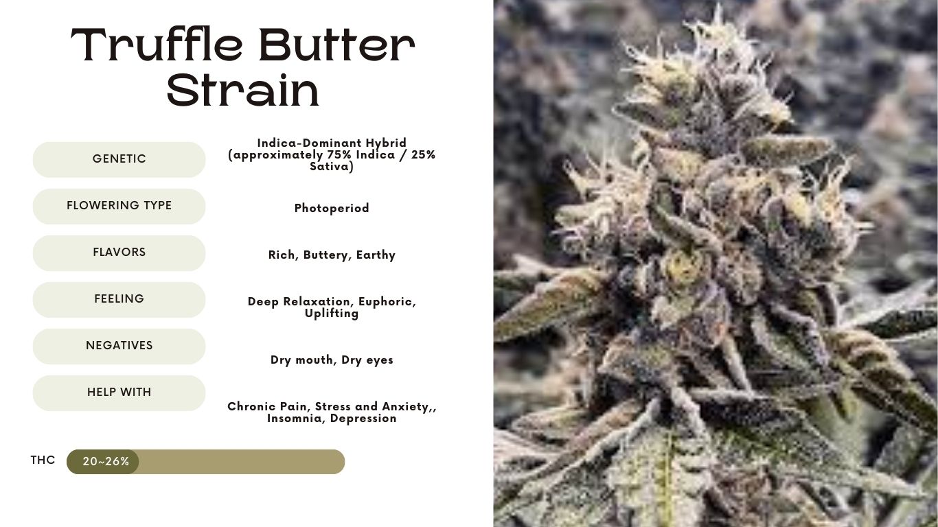 Truffle Butter Strain: Everything You Need to Know - Vivosun