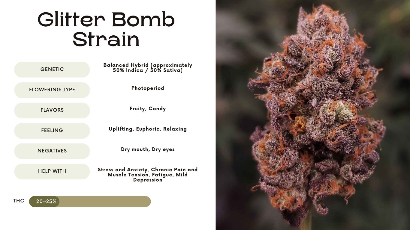 Glitter Bomb Strain: Everything You Need to Know - Vivosun