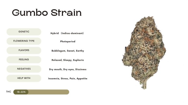 Gumbo Strain: Everything You Need to Know - Vivosun