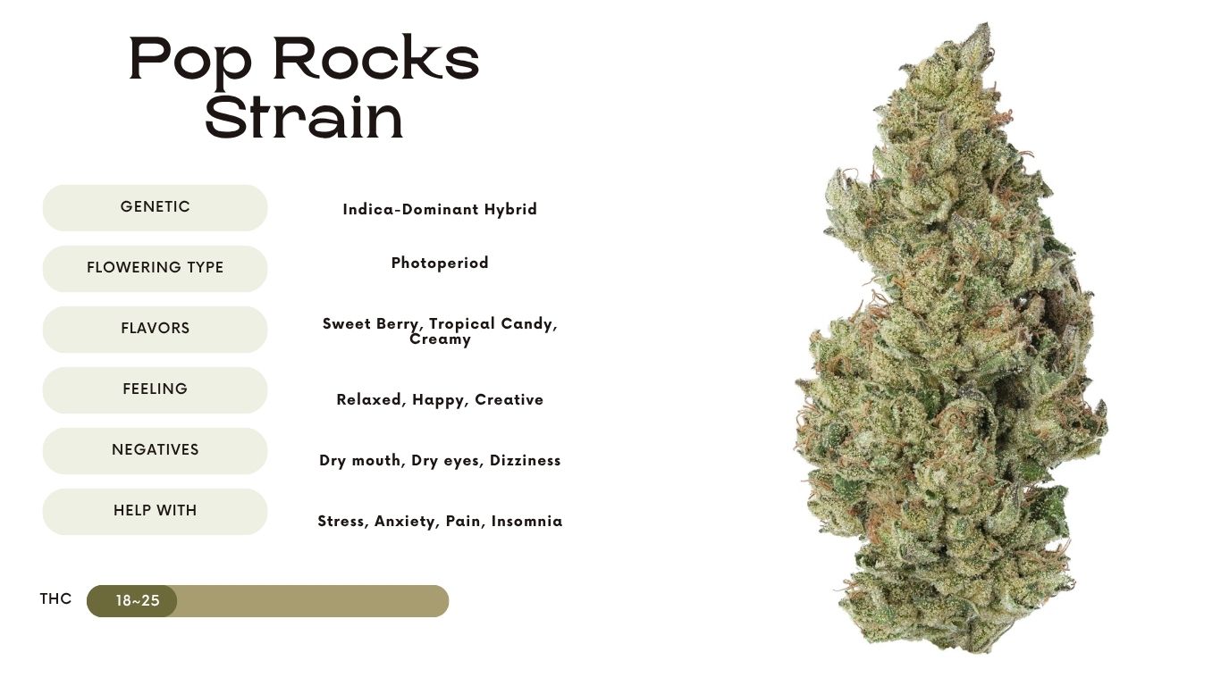 Pop Rocks Strain: Everything You Need to Know - Vivosun